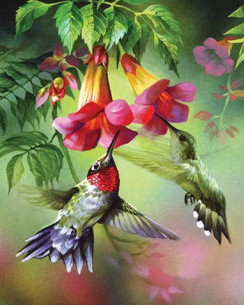 Humming Bird Flowers - Paint by Numbers - Paint My Numbers